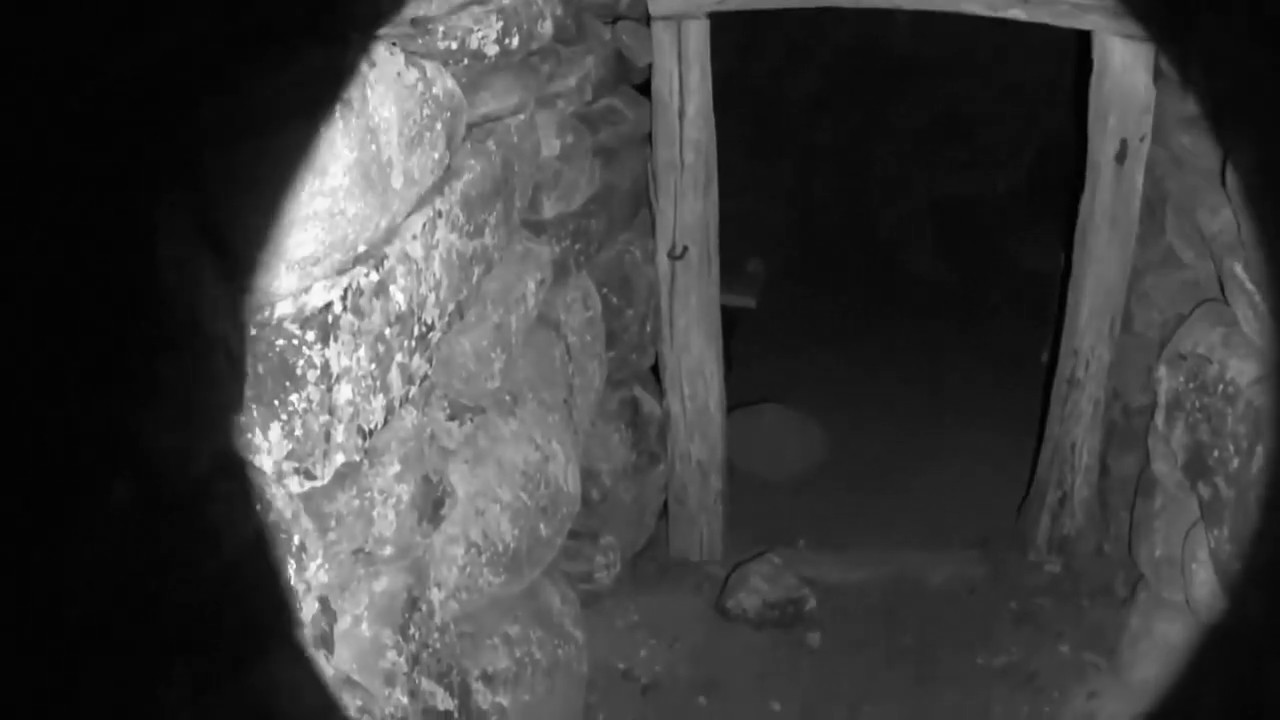 (Music Video) Ghoul - Life is worthless (dsbm) - YouTube