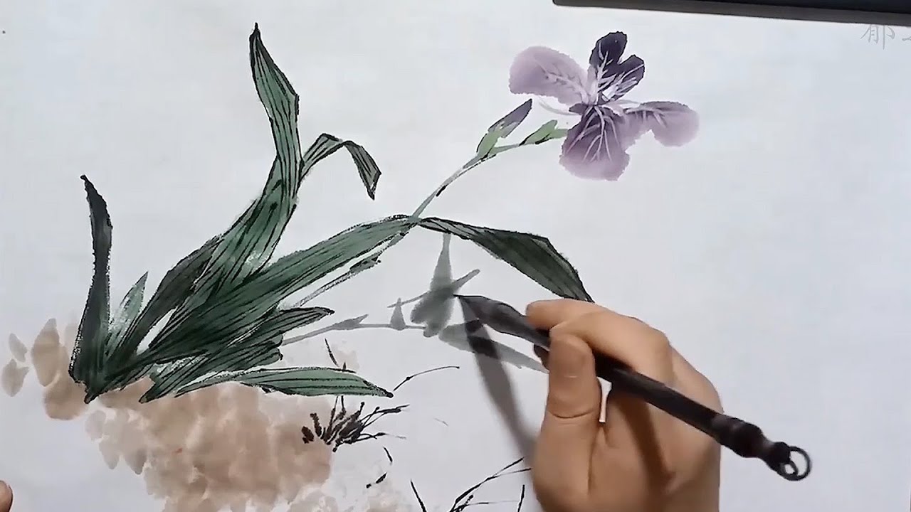 Traditional ink wash painting of Iris flower - YouTube
