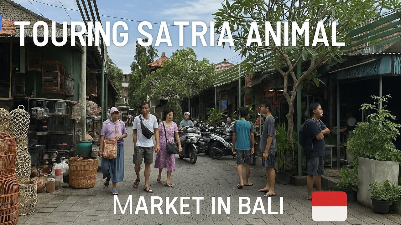 Touring Satria Animal Market in Bali - YouTube