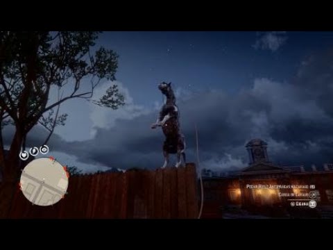 Meu cavalo mostrado a giromba - RDR2 - YouTube