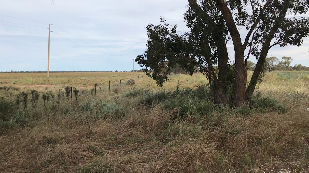 Nyngan to Nevertire NSW - YouTube
