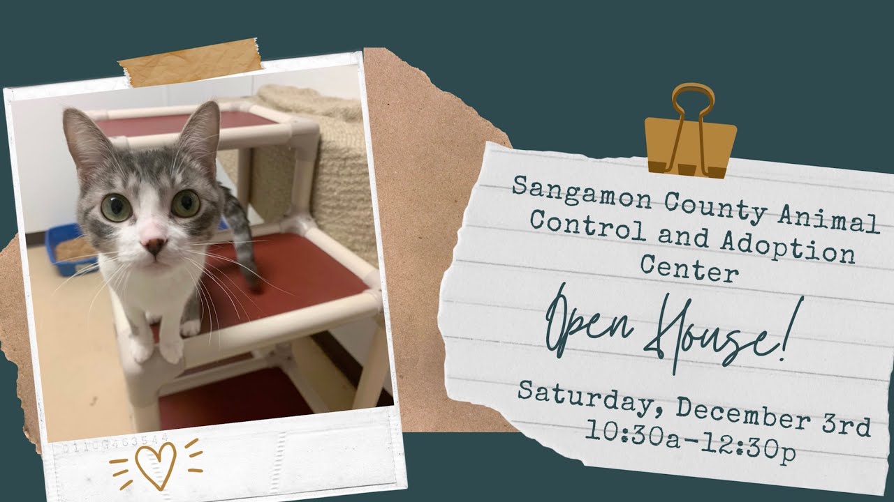 Sangamon County Animal Control and Adoption Center Open House - YouTube