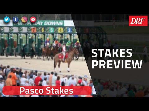 Pasco Stakes Preview 2023 - YouTube