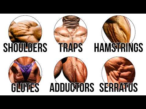 Every Muscle Insertion Explained Part 2 (Good vs Bad Genetics)