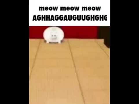 Meow meow moew aaahhhhhh funny meme - YouTube