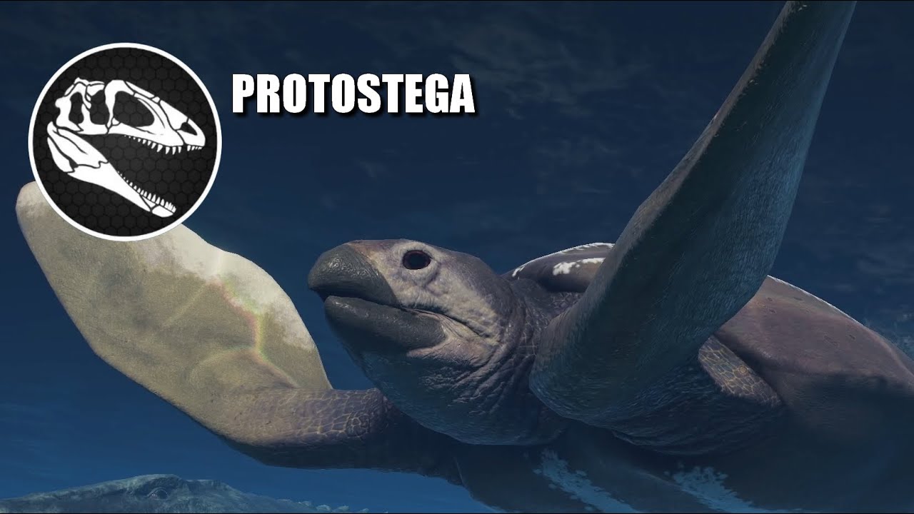 Protostega & Mosasaurus - Cinematics & All Skins Showcase - JWE 2 Mods ...