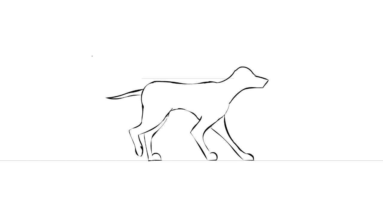 Flash Animation, Animal walk cycle - YouTube