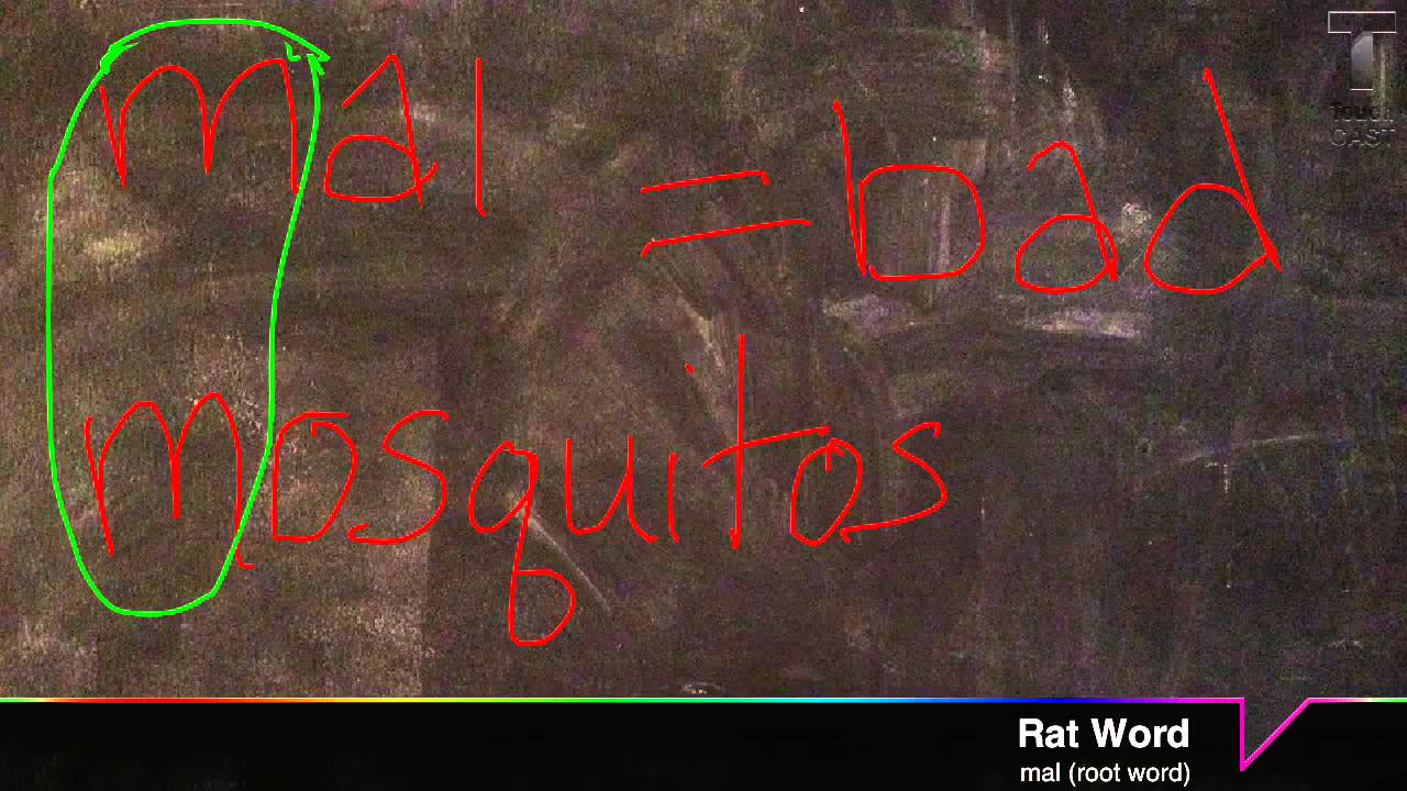 Rat Word Mal root Word YouTube rat-word-mal-root-word-youtube