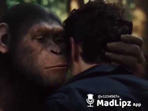 İnstagram ve Whatsapp status video