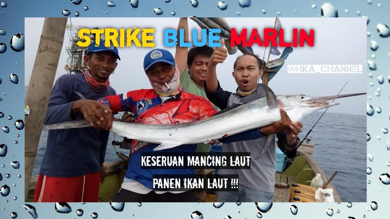 Reel menjerit kencang strike monster blue marlin dan tenggiri!!! @hka ...