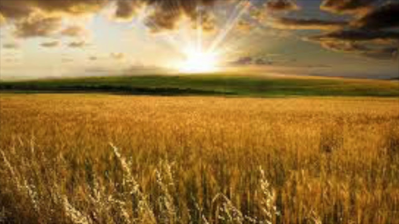 The Awakening sung by Amy Susan Foster - YouTube