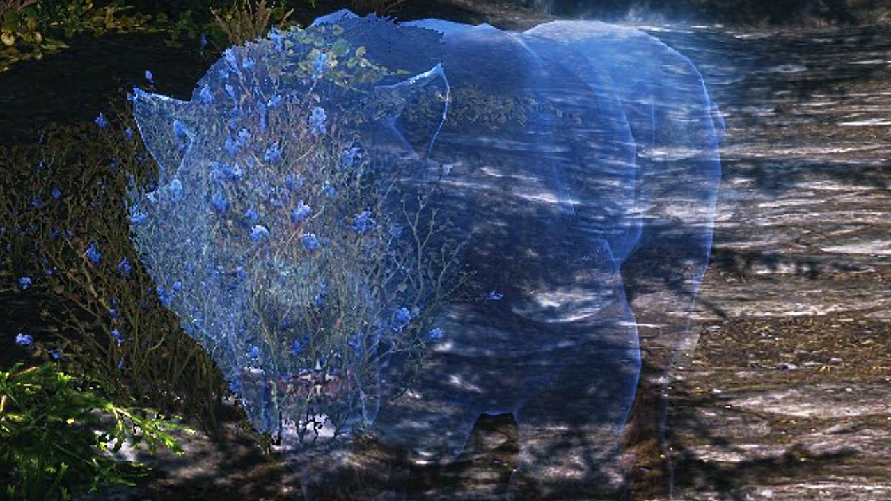 SKYRIM Special Edition: SABRE CAT GUARDIAN SPIRIT Boss Fight ...
