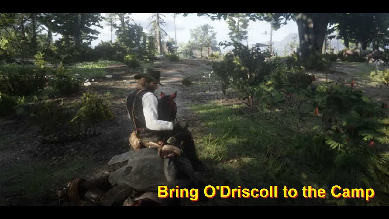 RDR2 - What if you bring O'Driscoll to the Camp? Gang reaction (hidden ...