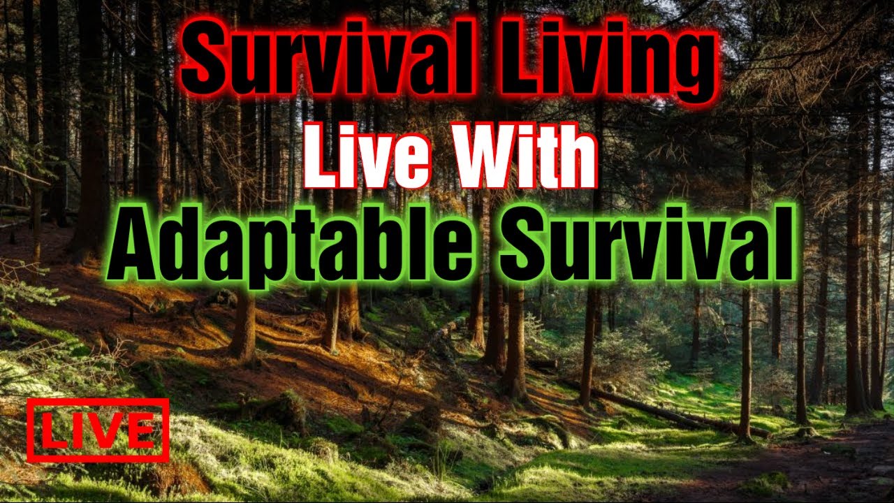 Live With Adaptable Survival - YouTube