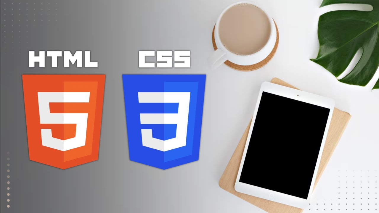 Curso de HTML e CSS para Iniciantes 2024 - Front-End Programador Web ...
