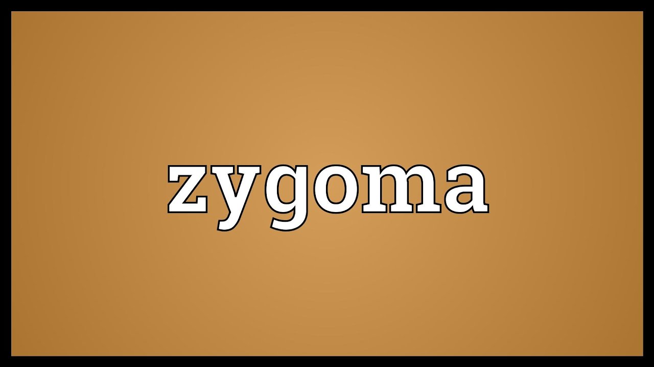 Zygoma Meaning - YouTube
