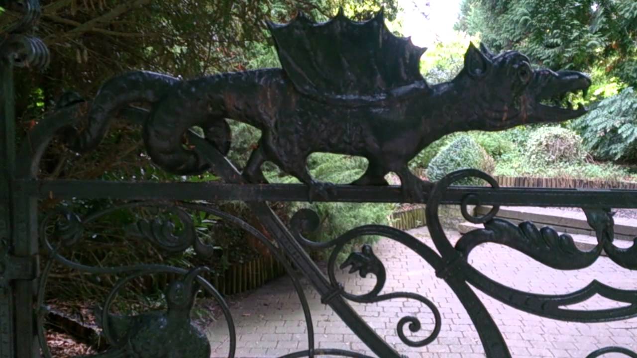 Reptile gate? - YouTube