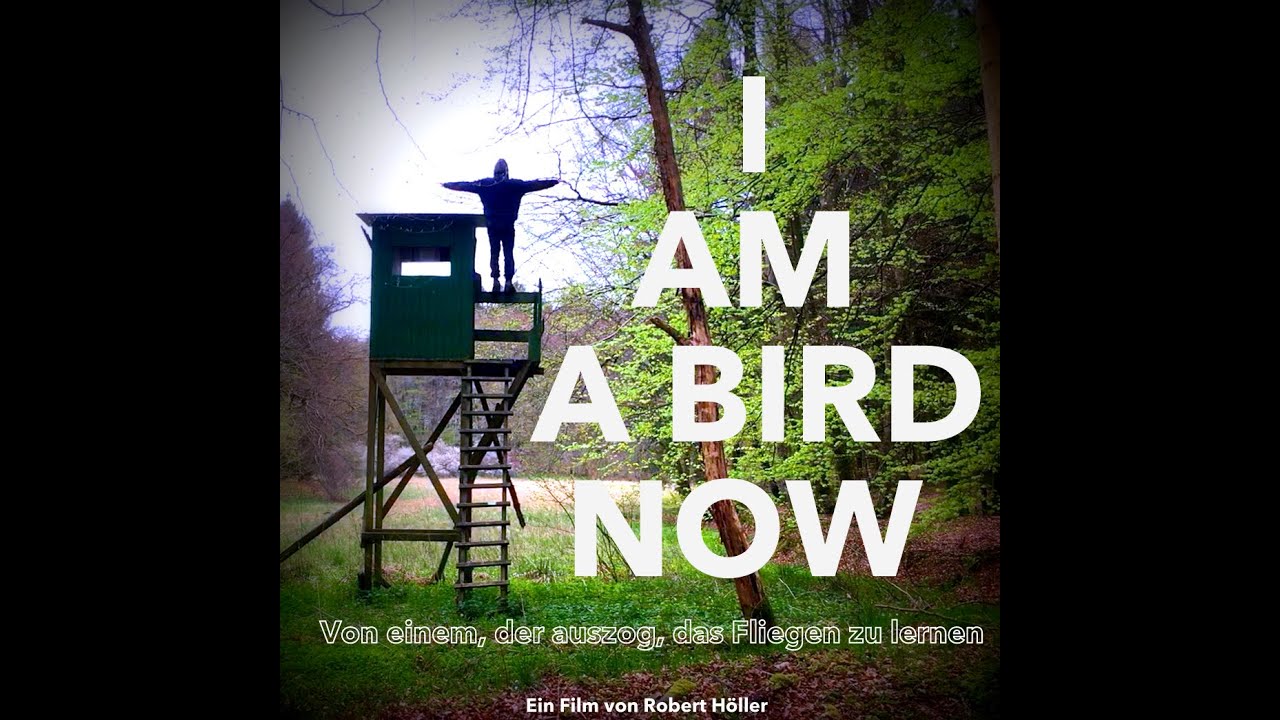 I am a bird now - Von einem, der auszog, das Fliegen zu lernen - YouTube