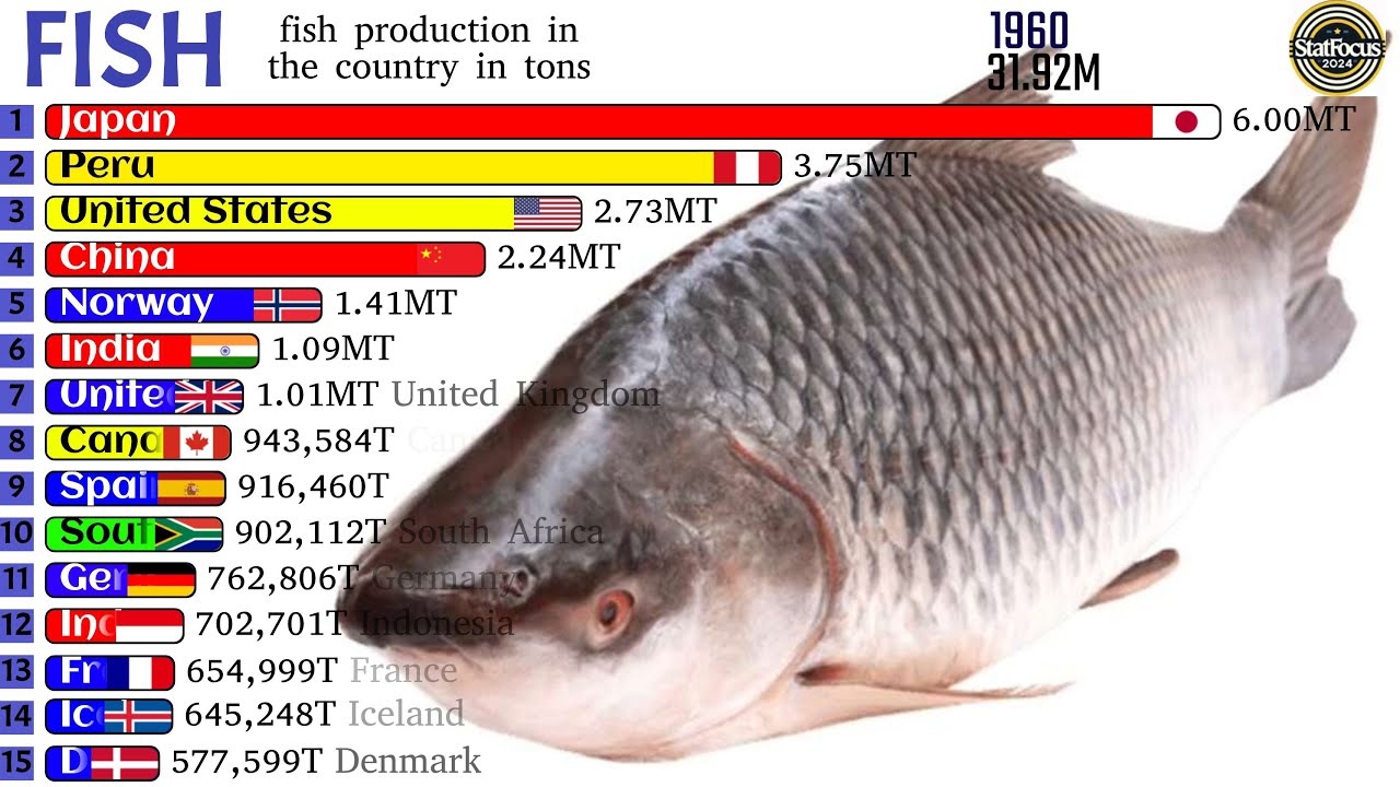 Countries with the largest fish production in the world - YouTube
