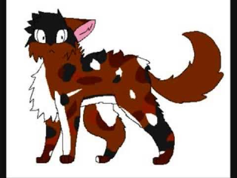 Warrior Cats Wiki- Mapleshade (Meme by Bluekyokitty) - YouTube
