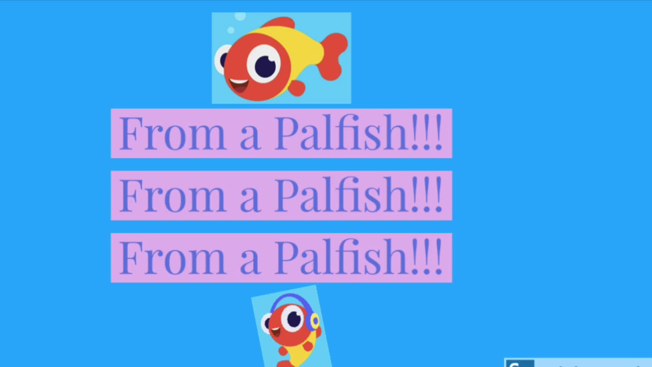 ‘Learn From A Palfish’ ~ - YouTube