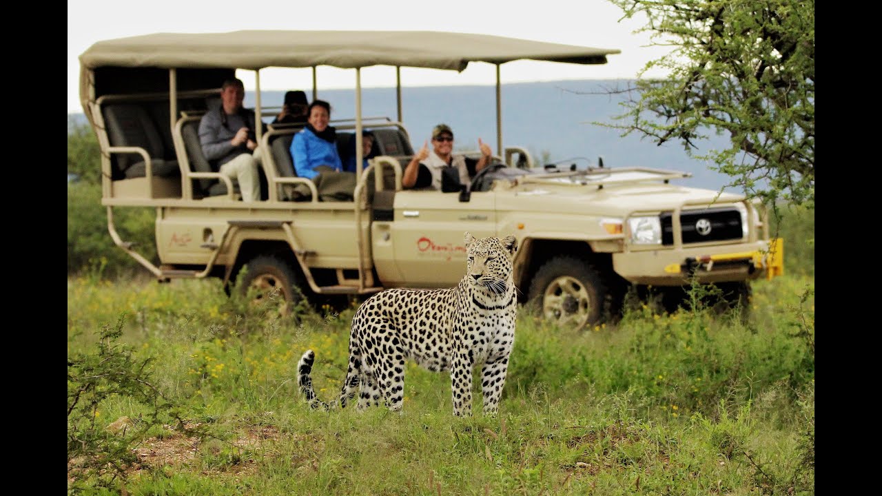 Beyond the Horizon: Exploring Africa's Hidden Safari Gems. - YouTube