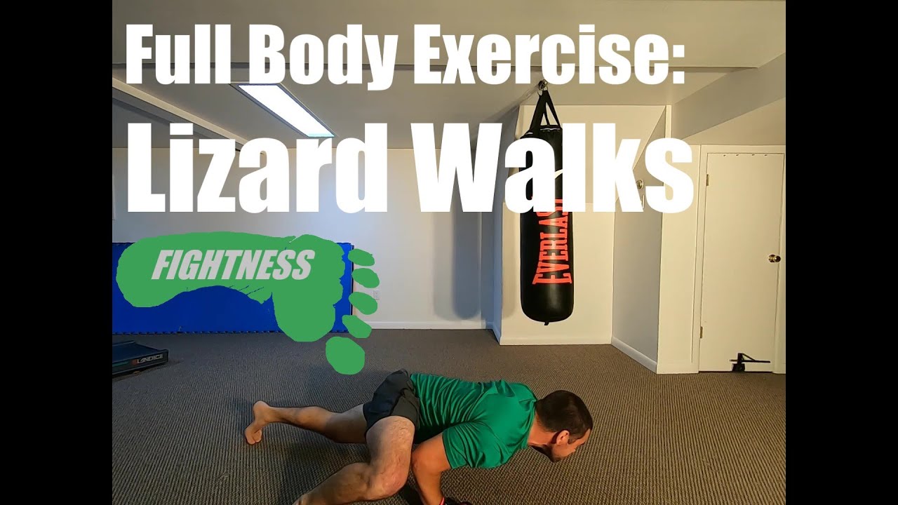 Lizard Walks - Full Body Exercise - Fightness - YouTube