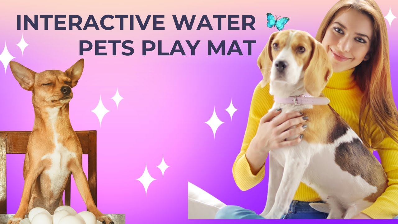 Interactive Water Pets Play Mat | Pets Mat - YouTube