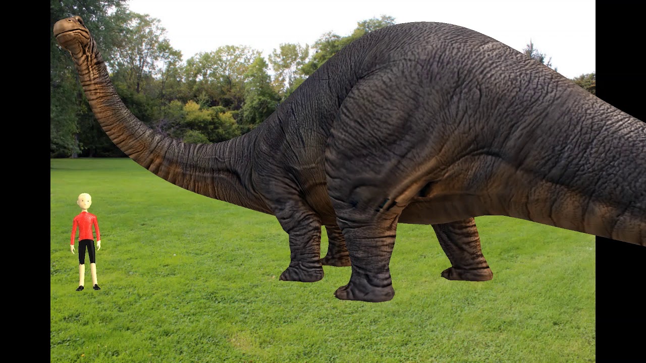 apatosaurus size compare - YouTube