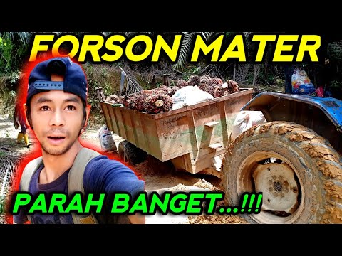 Forson tractor mater di ladang sawit Malaysia #part 10