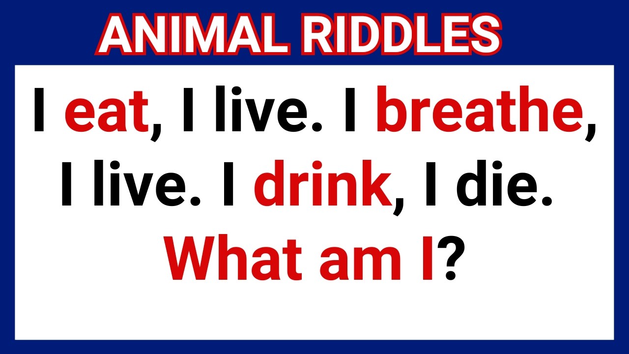 Riddles and Trivia Fun: Test Your Brainpower! #riddles #trivia # ...