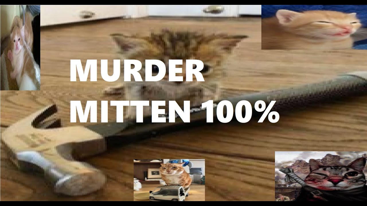 Murder Mitten 100% - YouTube