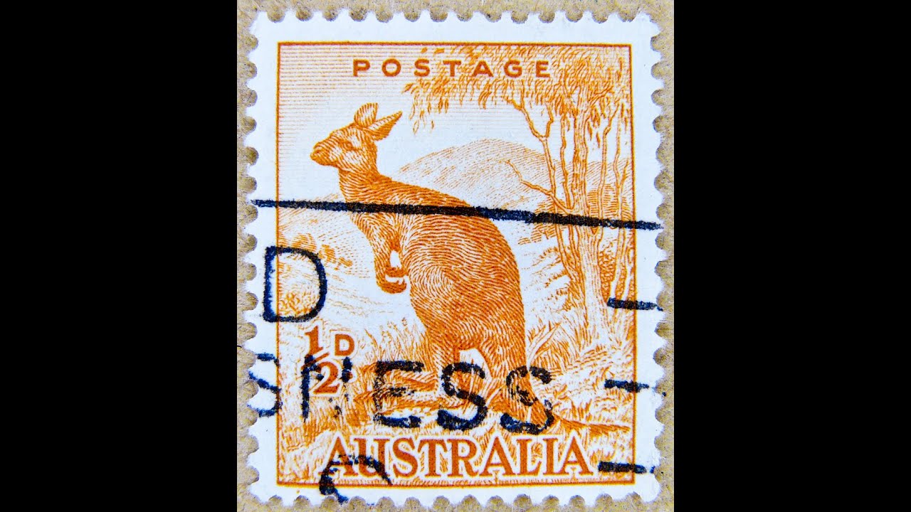 Shepparton flow (36 dirty gang) [Official Audio] - YouTube Music