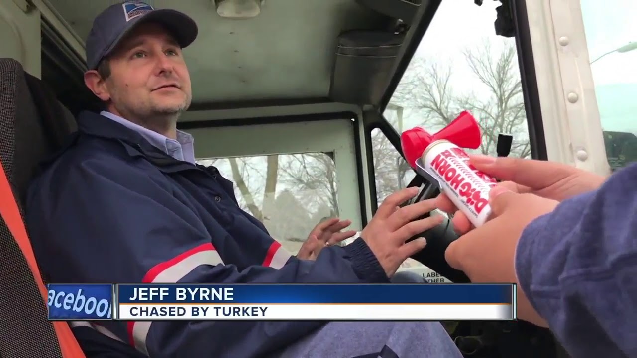 Pewaukee mail carrier 'stalked' by turkey for months - YouTube