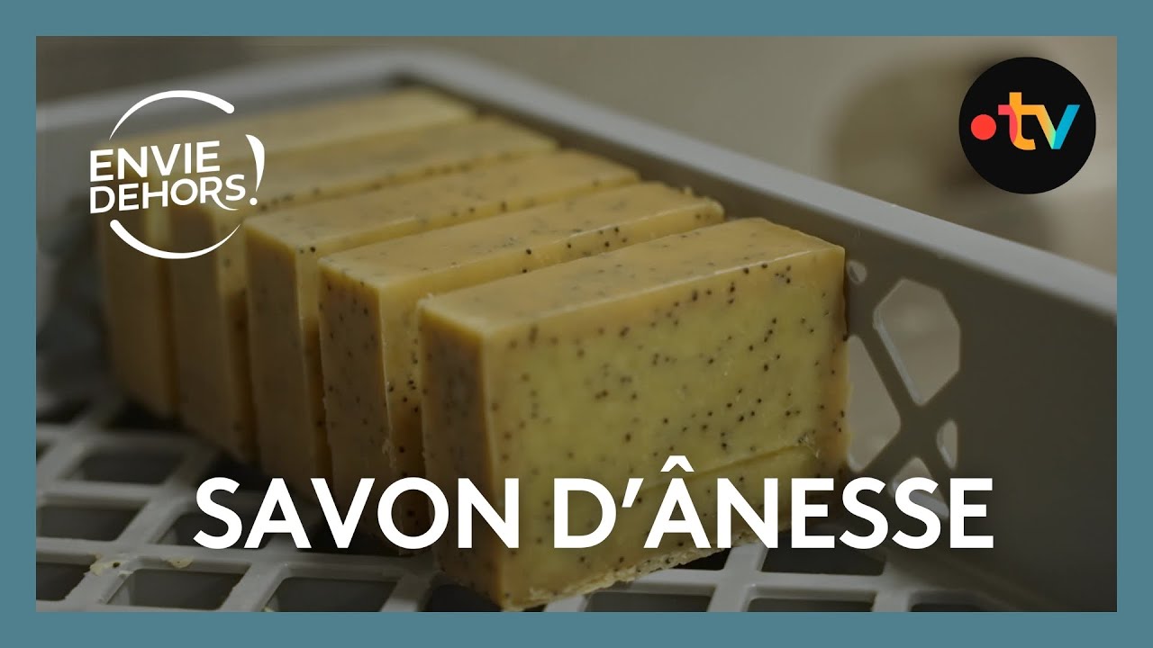 La transformation du lait d’ânesse en élixir cosmétique - YouTube