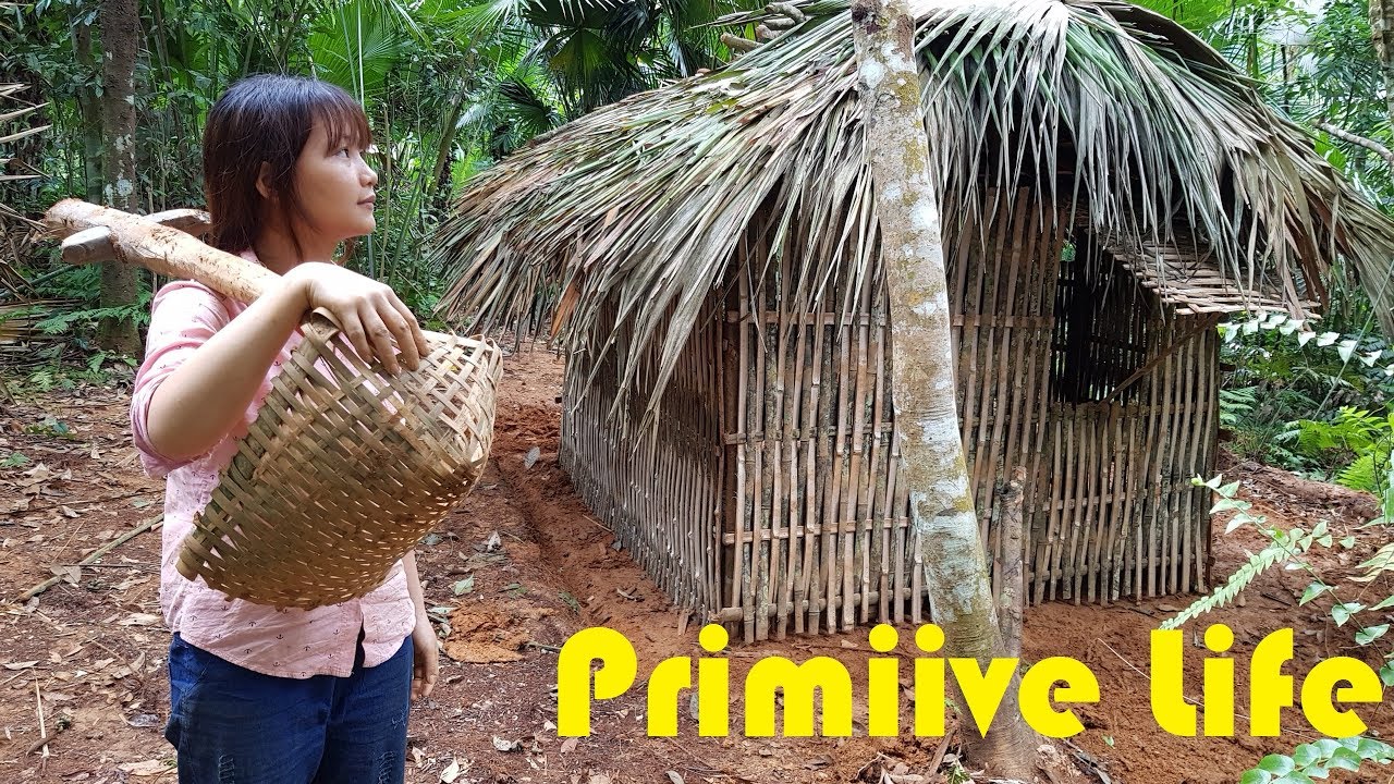 Primitive Technology: Make a wild hut with natural plants - YouTube
