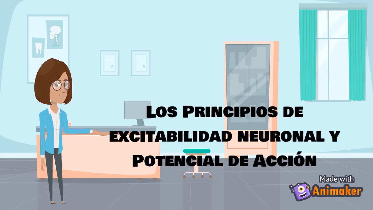 Principios de excitabilidad Neuronal y potencial de Acción. - YouTube