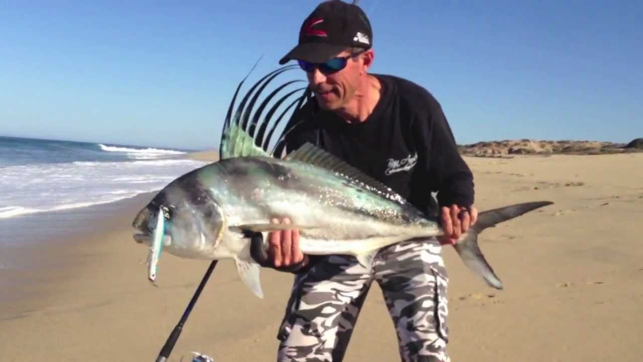 Dave & a Roosterfish of Baja - YouTube
