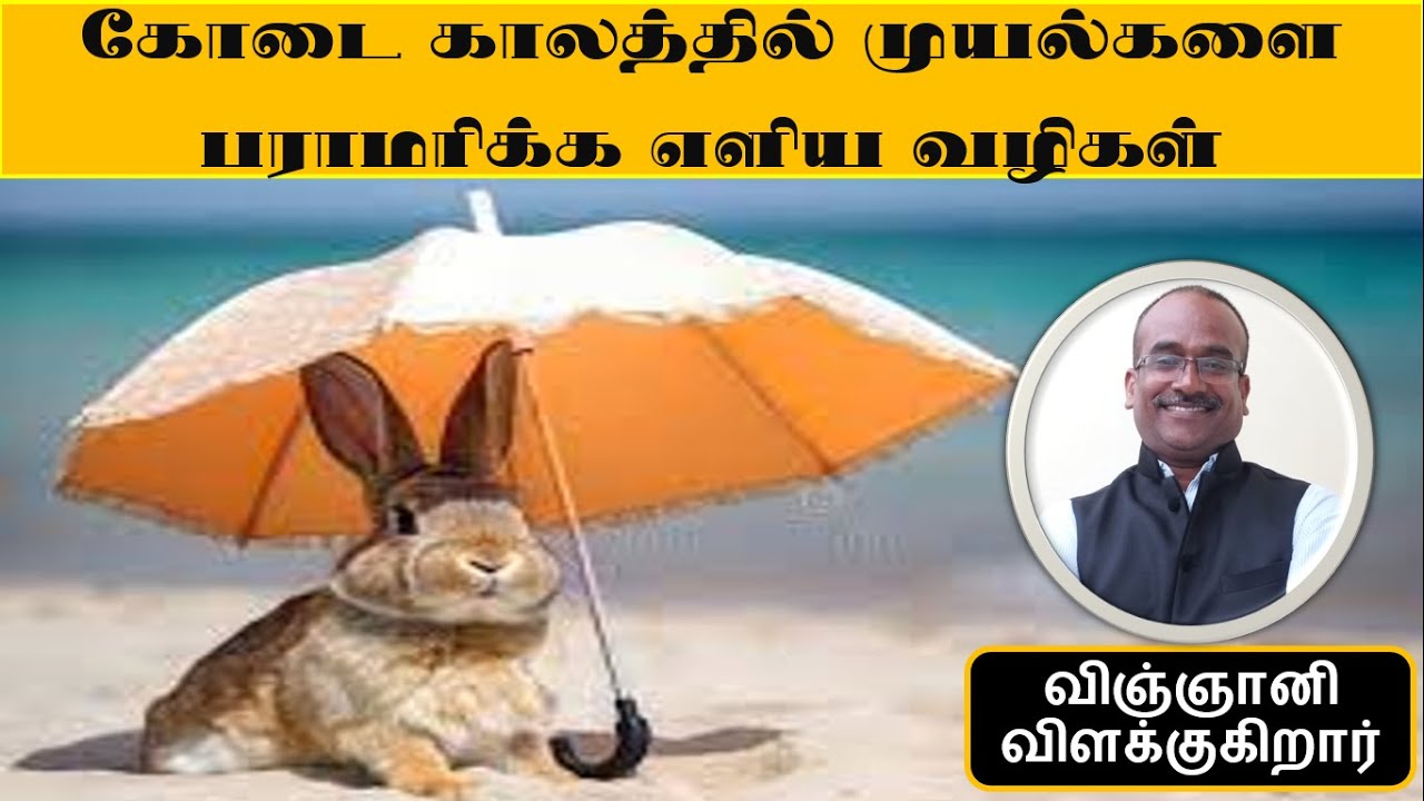 கோடை காலத்தில் முயல்களை பராமரிக்க எளிய வழிகள் | Muyal Valarpu | முயல் ...