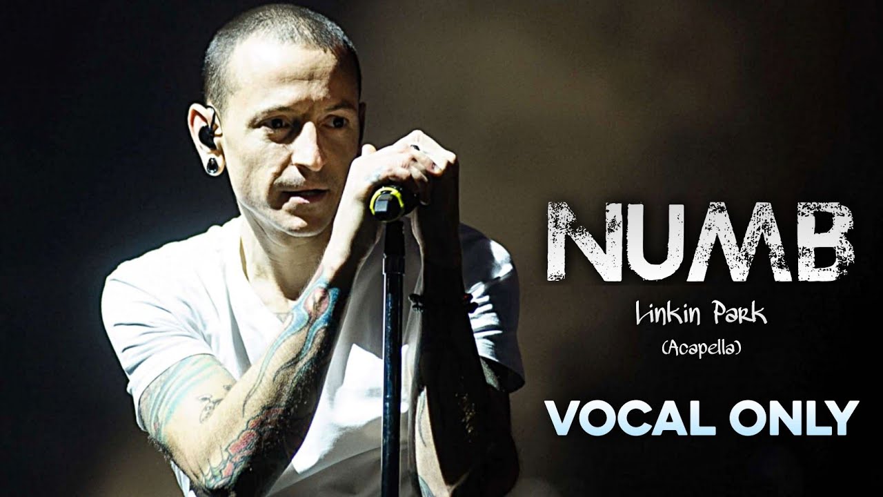 Numb (Acapella) - Linkin Park | Vocal Only - YouTube