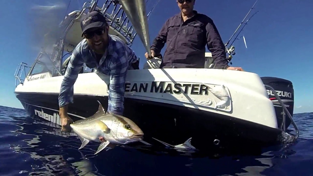 OCEAN MASTER BOATS EPISODE 3 REEF SESSION - YouTube