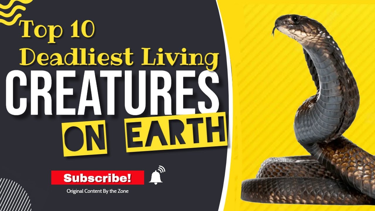 Top 10 Deadliest Living Creatures On Earth - YouTube