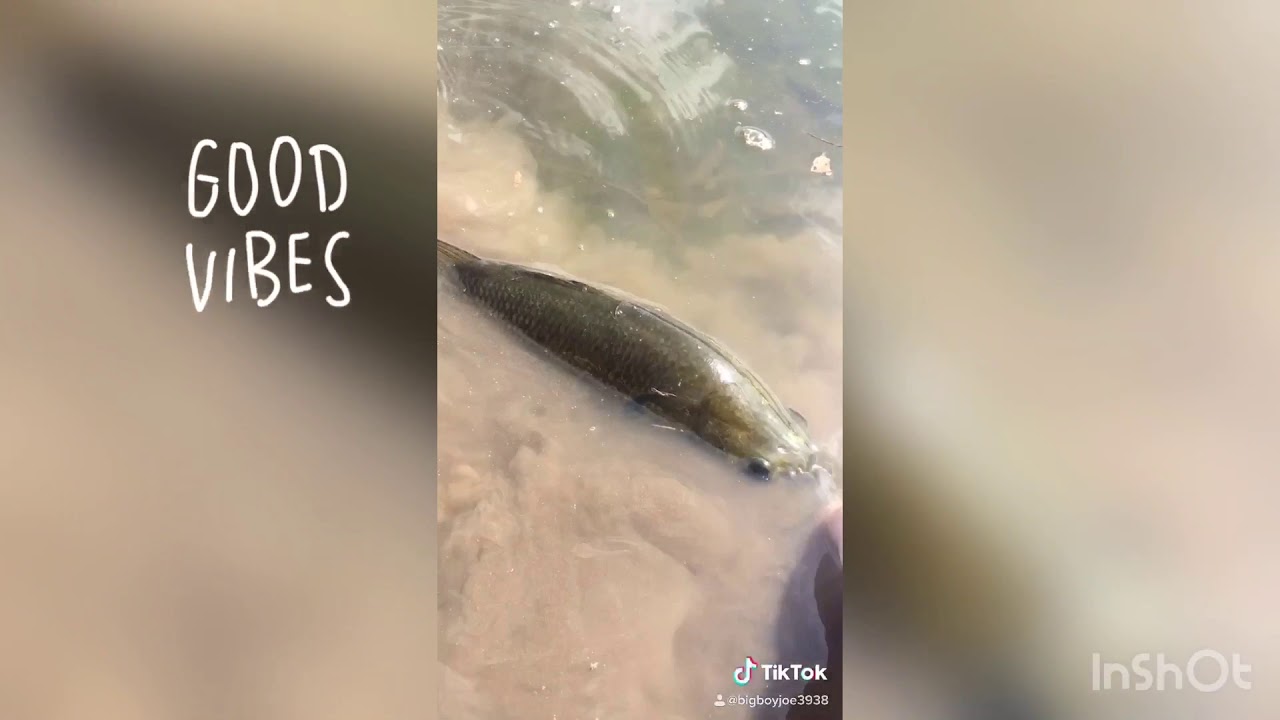 Cool fishing clips - YouTube