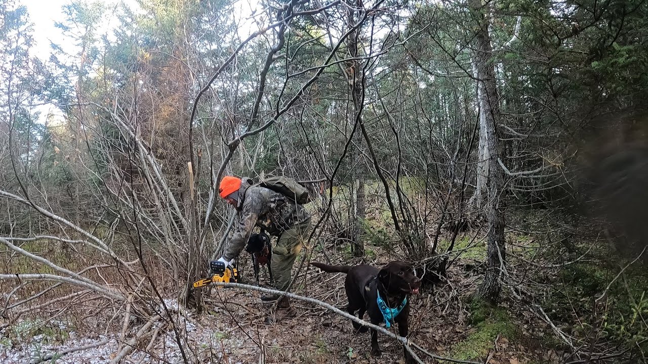 Setting Rabbit Snares and a Boil Up!! - YouTube