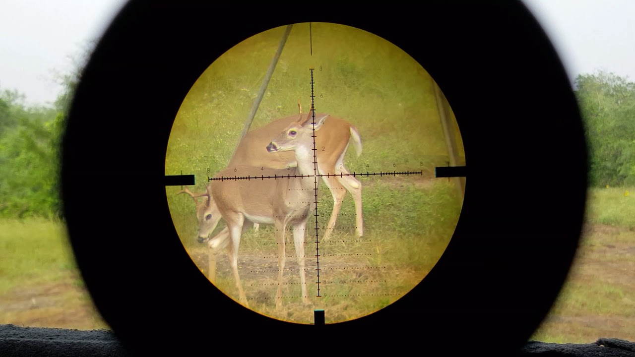 Texas NFA Gun Trust. Cull Buck Harvest - YouTube