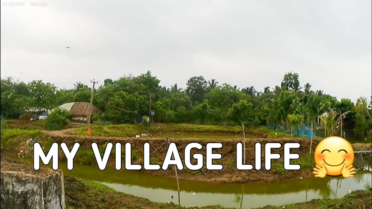 MY VILLAGE LIFESTYLE 🤗//Beautiful Village Life 👌ll #vlog #vlogvideo # ...