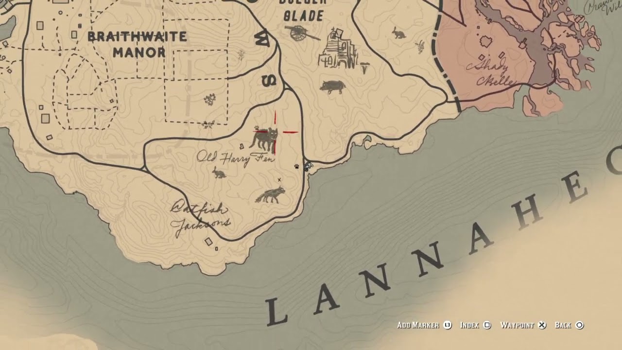 How long it takes find a panther - Rdr2 - YouTube