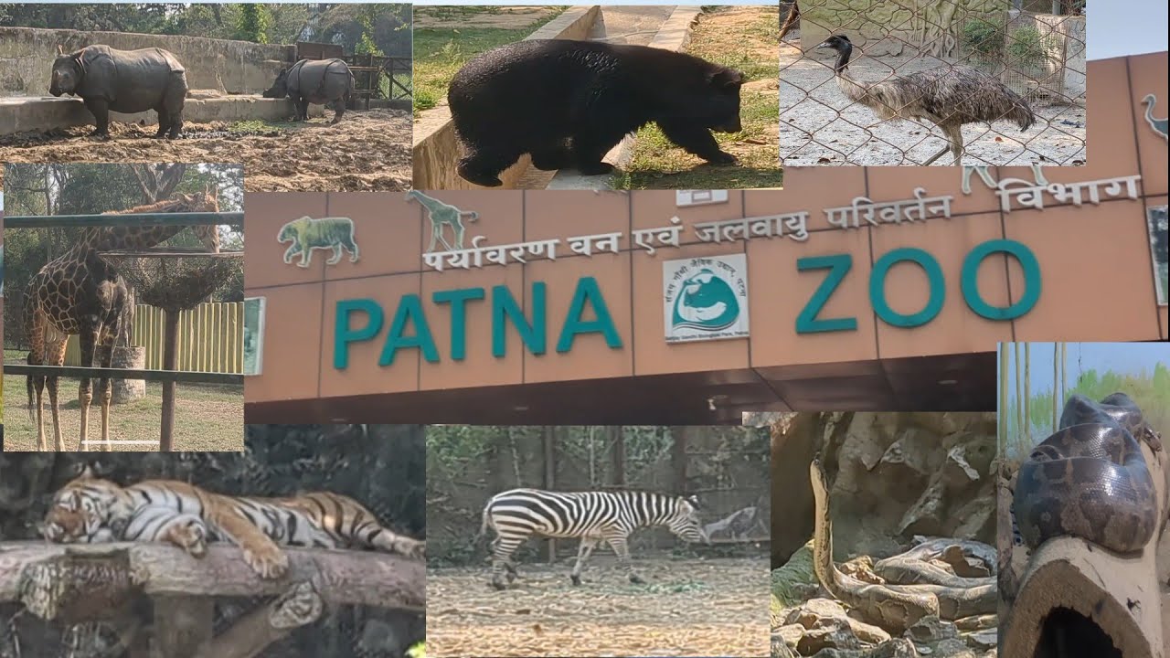 A Visit to Patna Zoo | Bihar Travel Diaries - YouTube