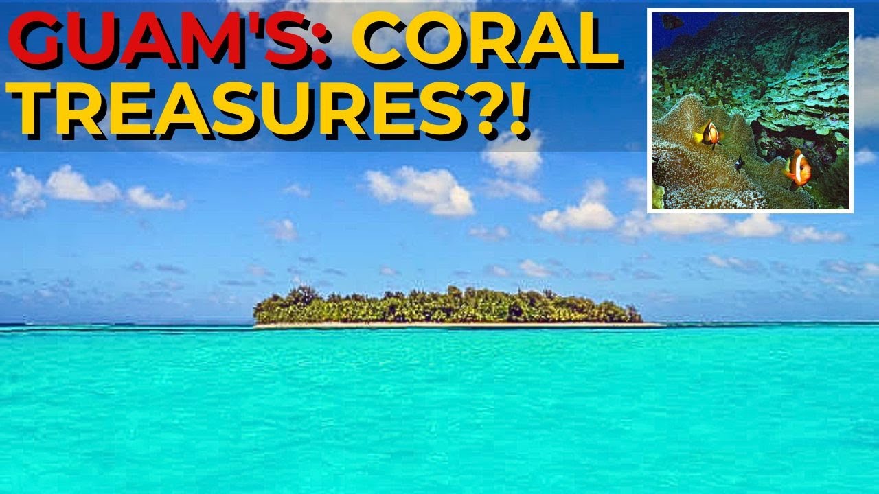 Guam's Coral Reefs: Environmental Challenges - YouTube