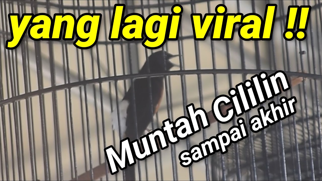 ternyata di tengah no G28 !! zoom dari jarak 10 meter - YouTube